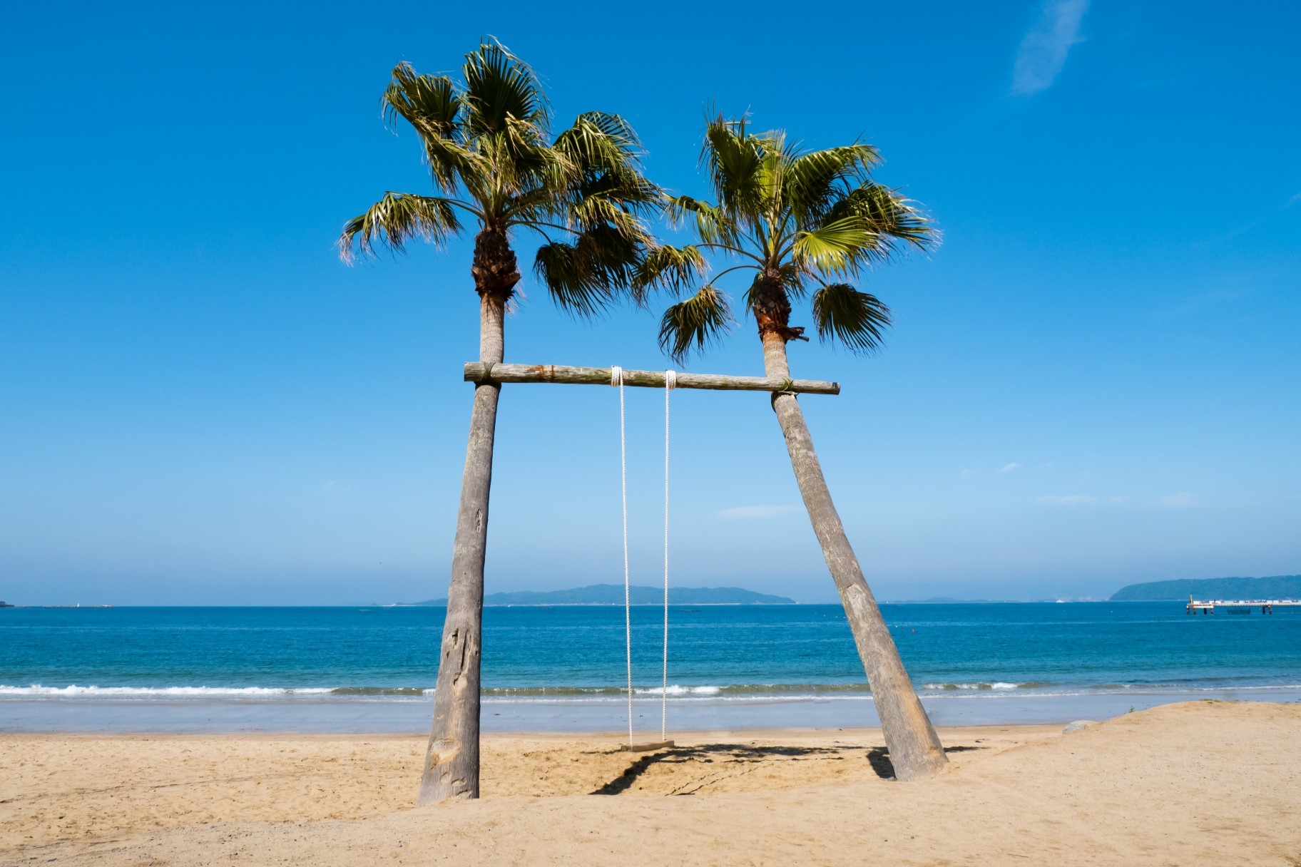 Palm Tree Swing｜FUKUOKA ATTRACTIONS｜fukuokakotsu